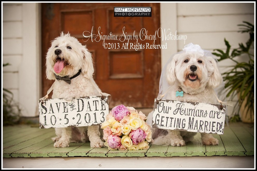 Save the Date Signs for the Dogs | Our Humans Are Getting Married ...