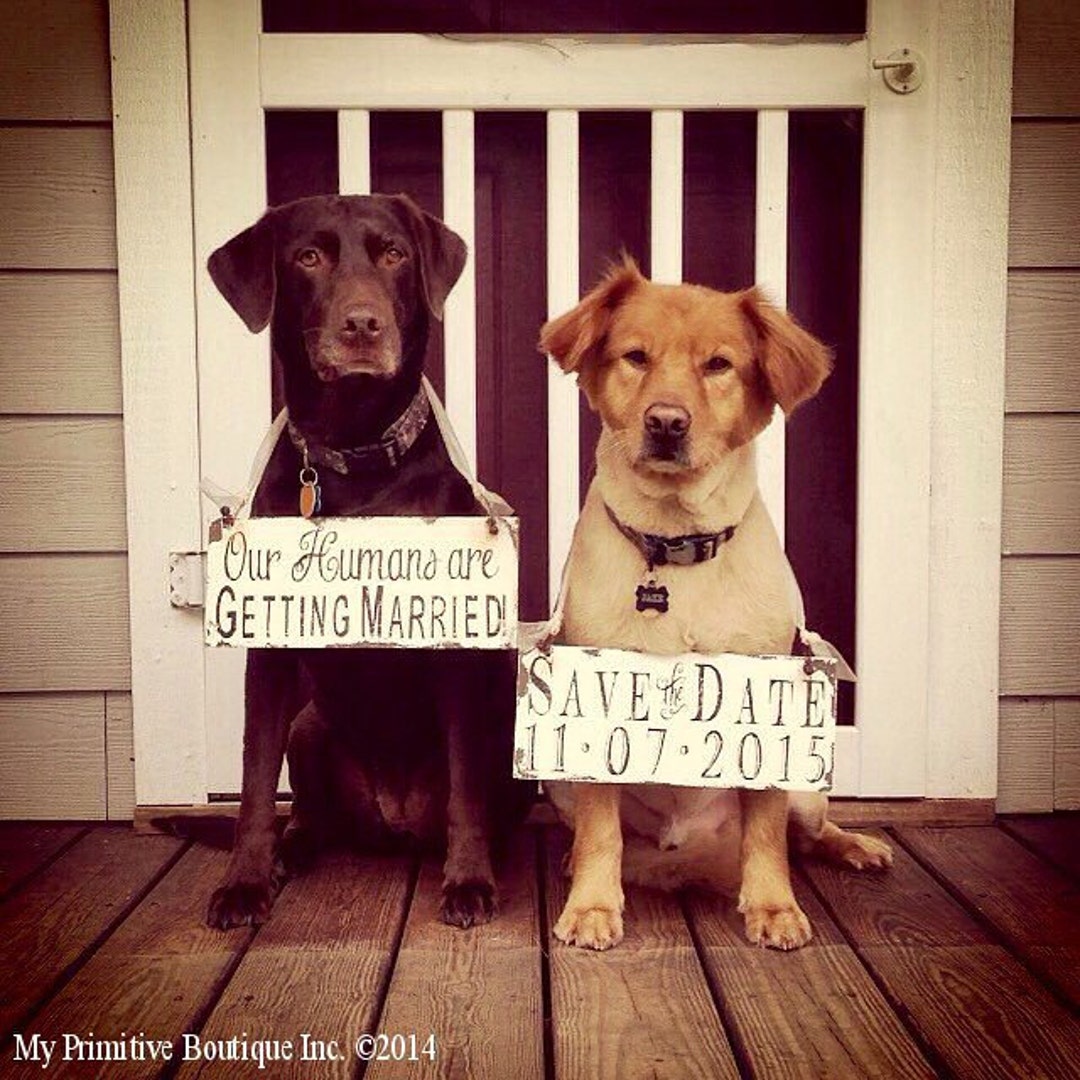 Our Humans Are Getting Married Dog Signs | Save the Date Signs for DOGS ...