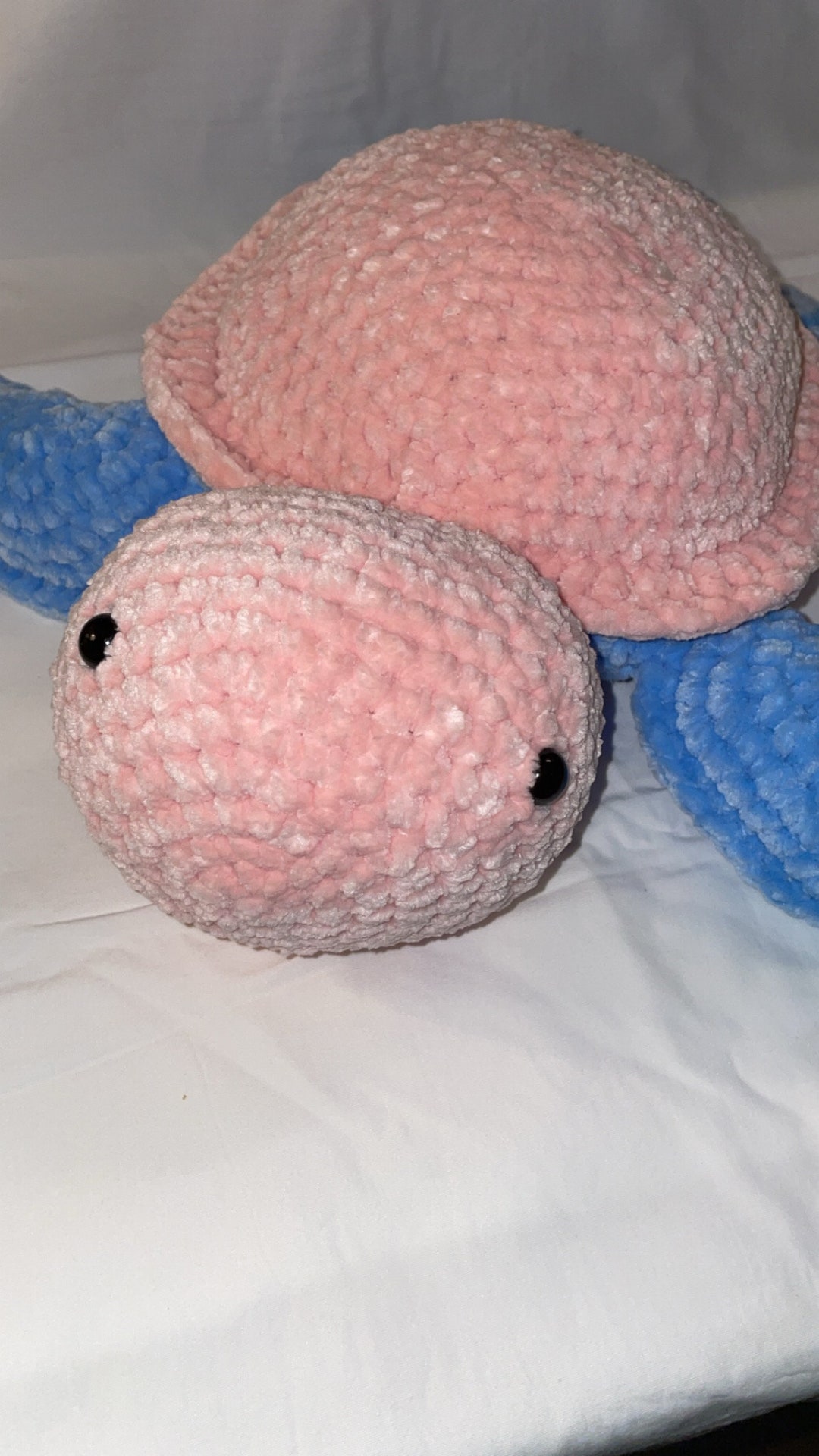 Cotton Candy Turtle - Etsy