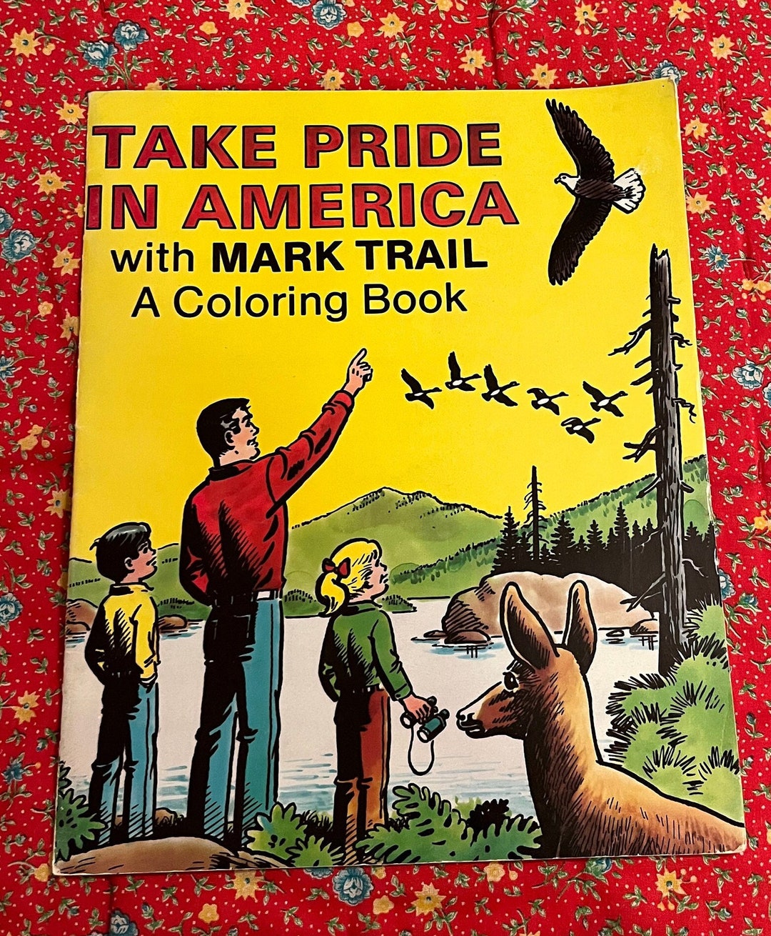 Vintage Federal Agency Coloring Book, 1987 Take Pride in America With ...
