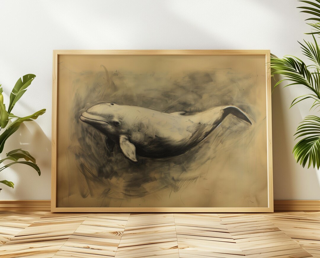 Beluga Whale Charcoal Sketch Wall Art, White Whale Pencil Drawing Print ...
