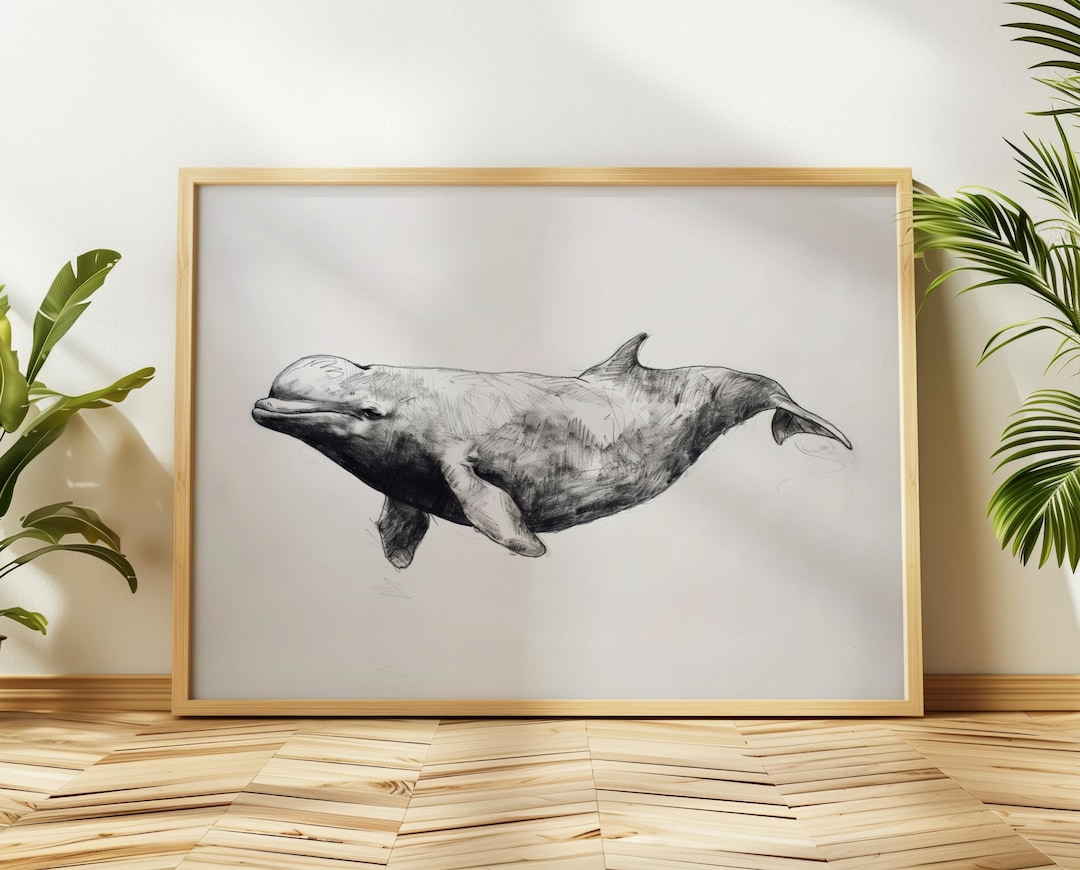 Beluga Whale Charcoal Sketch Wall Art, White Whale Pencil Drawing Print ...