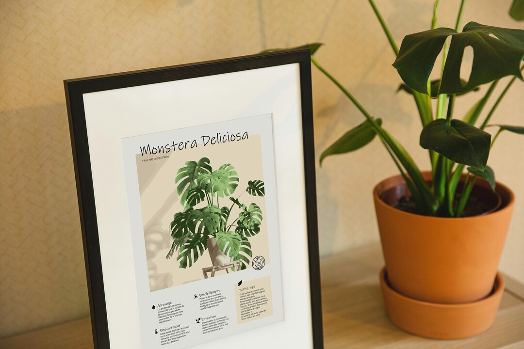 Monstera Deliciosa Illustrated Plant Poster With Care Tips for Frame - Etsy