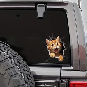 Funny Cat Sticker Series - Etsy