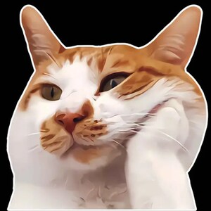 Funny Cat Sticker Series - Etsy