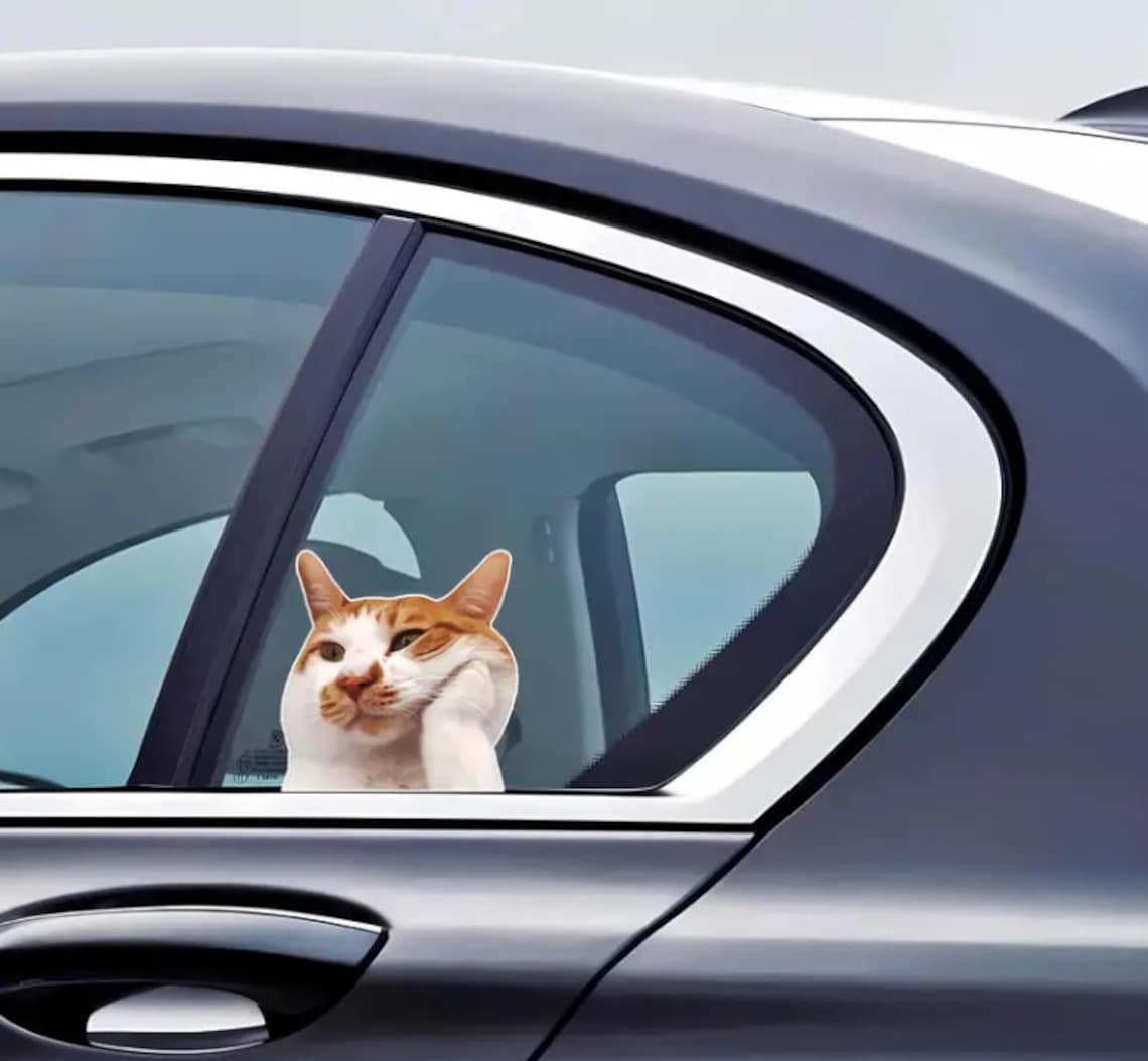 Funny Cat Sticker Series - Etsy