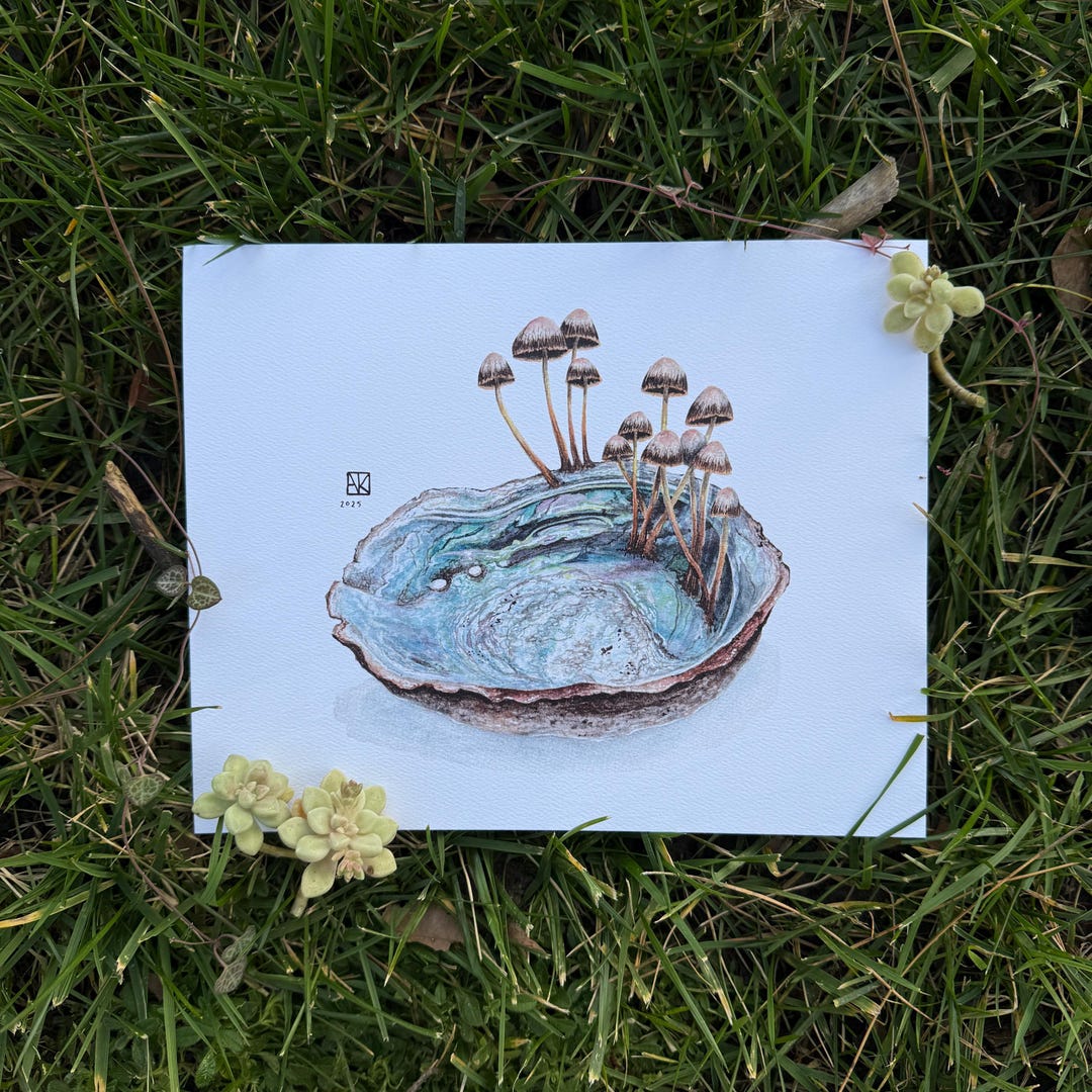 Abalone: Original Watercolor Art Print | Art for Plant & Nature Lovers ...