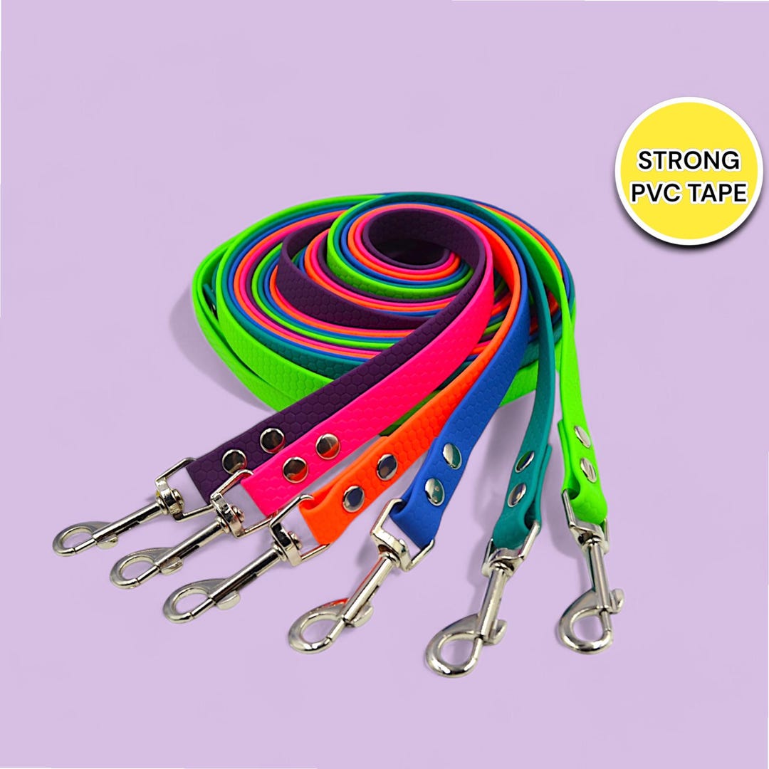 Leash With a Ring for Attaching Poop Bags, Durable and Waterproof—a ...