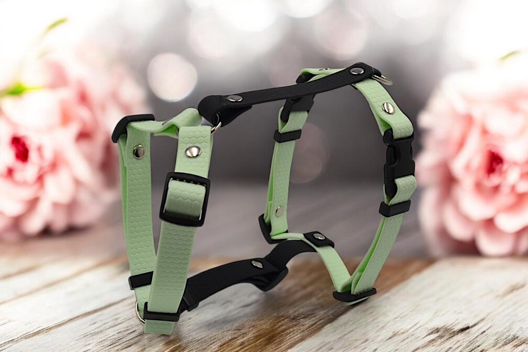 Waterproof PVC Dog Harness - Adjustable and Durable, Heavy-duty ...