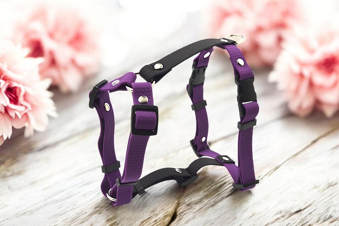 Buy Dog Harness, Cat Harness, Dog Collar Alternative, Clip Chest ...