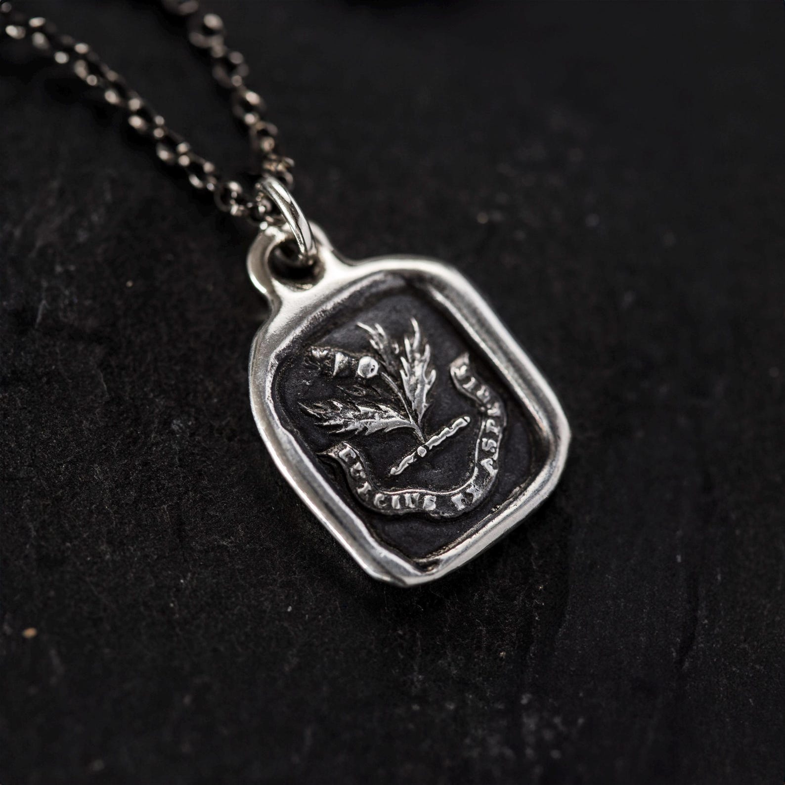 Sweeter After Difficulties Thistle Necklace Wax Seal Jewelry Dulcius Ex ...