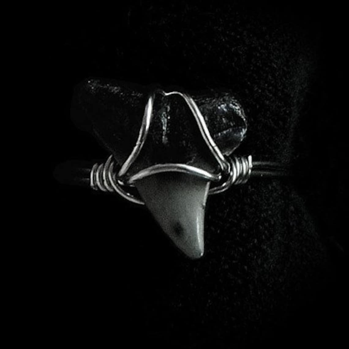 Fossil Shark Tooth Ring - Etsy