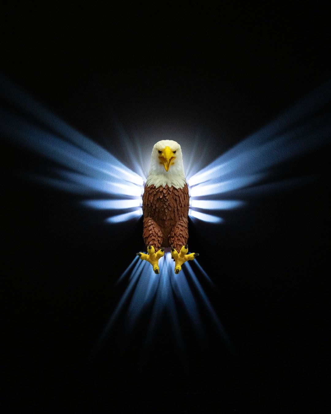 Realistic Eagle Wall Light | 3D Printing | High-quality | Home Decor | Wall Light - Etsy