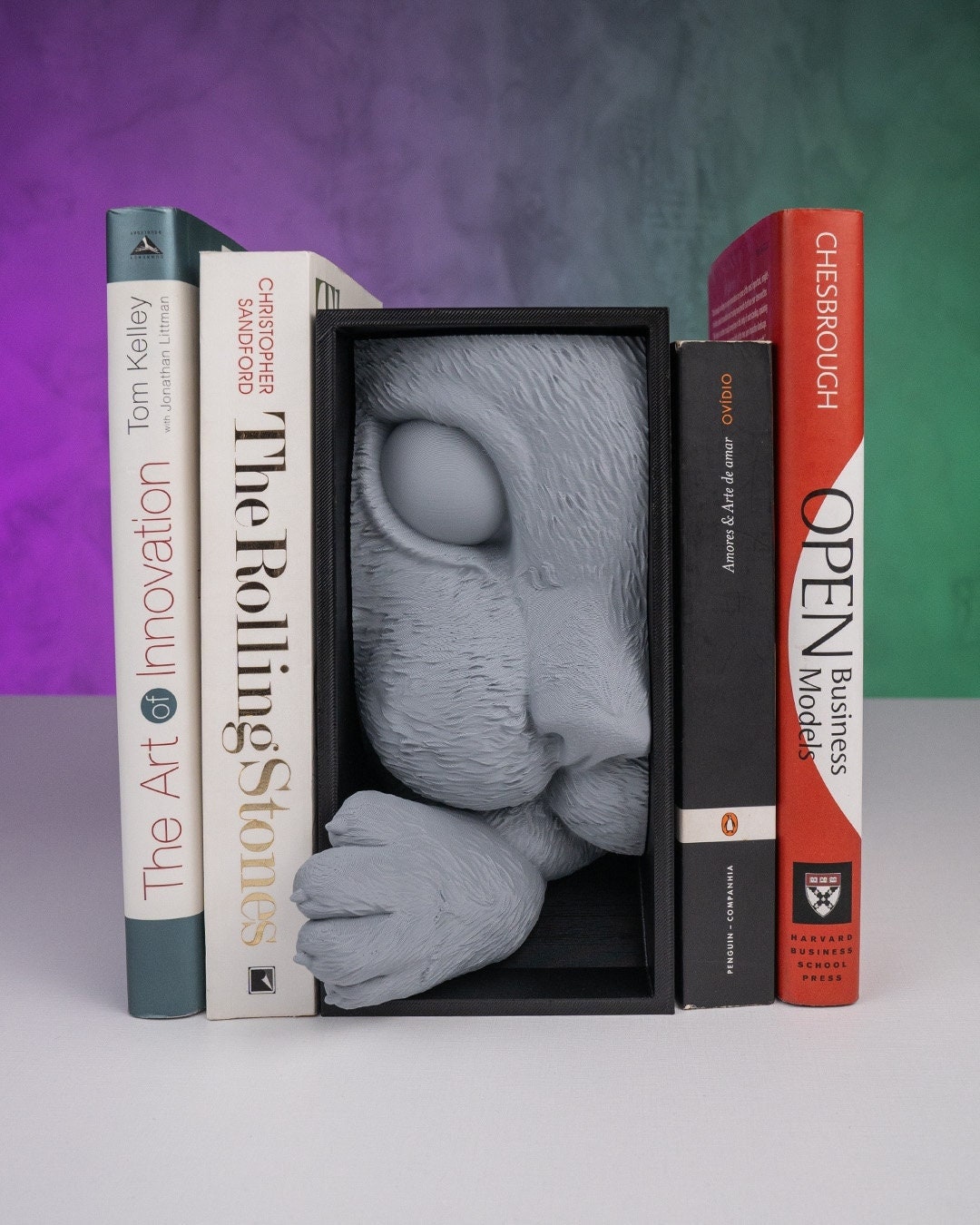 Cat Curiosity 3D Printed Reading Corner High Quality Custom Color - Etsy