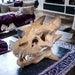 Eastern Dragon Trophy | 3D Printed | High Quality | Dragon Trophies ...