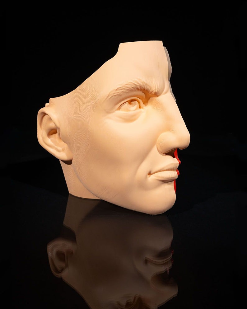 Realistic Nose and Sinus | 3D Printed Nose Replica | Medical School ...