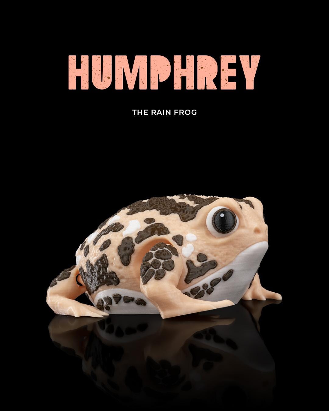 Humphrey, the Rain Frog | 3D Printed | Toys & Tabletop Games | Animals ...