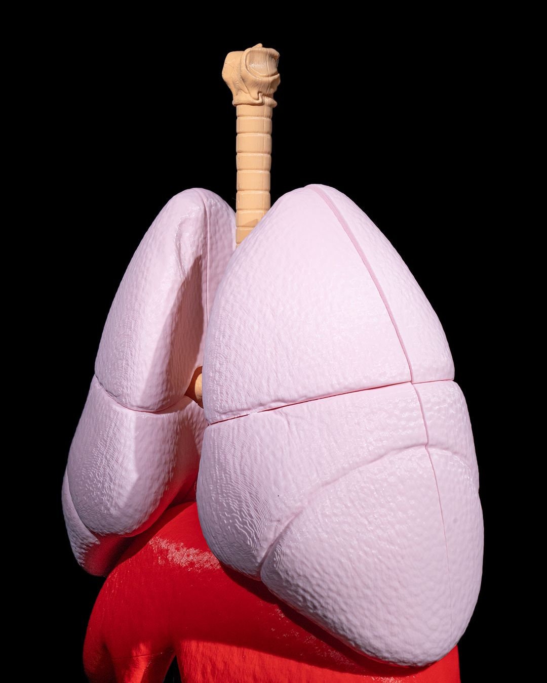 Lung Anatomical Model 43cm High-quality 3D Printed - Etsy