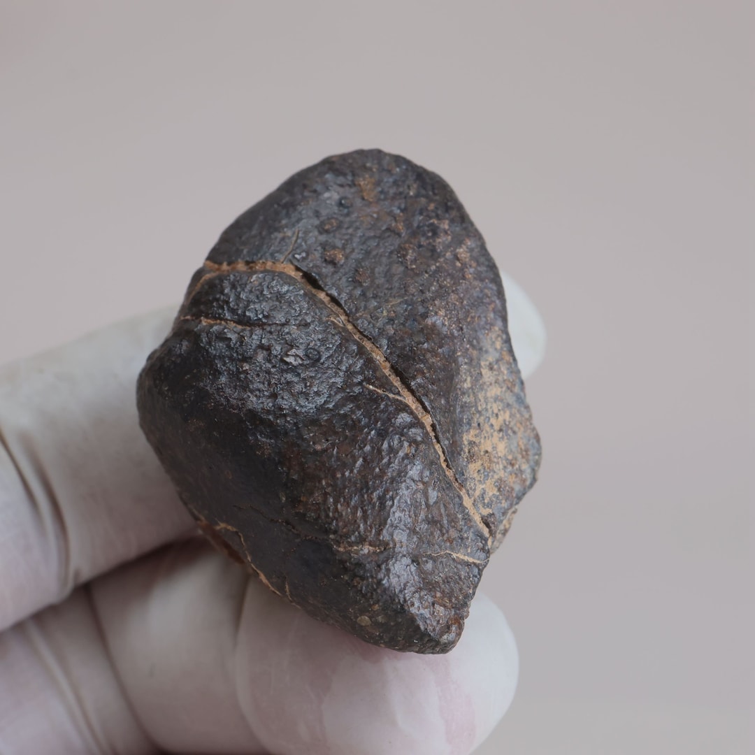 46G Meteorite Specimen/nwa Meteorite/natural Chondrite/ From ...