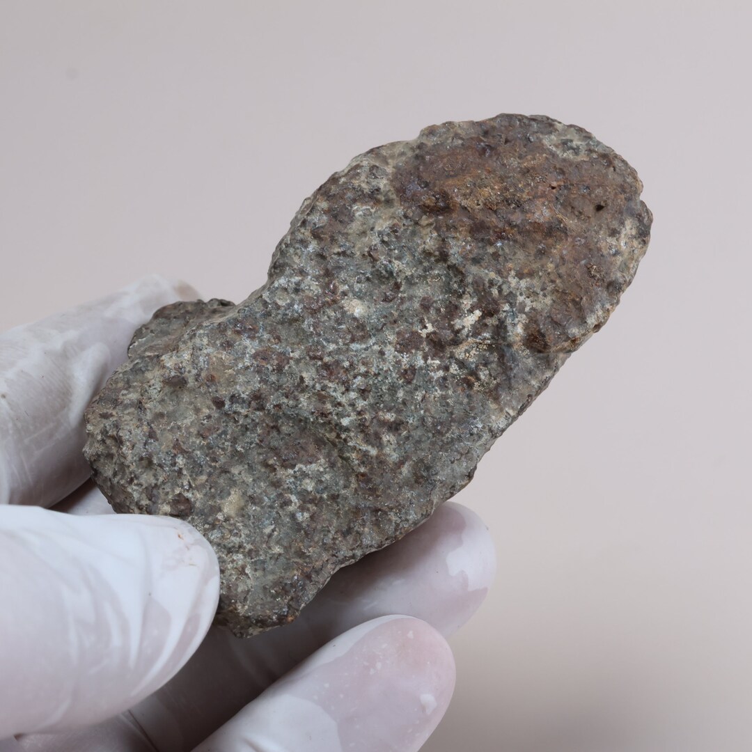 132G Meteorite Specimen/nwa Meteorite/natural Chondrite/ From ...