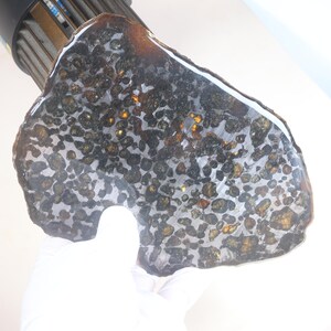197G Sericho Pallasite Meteorite Slice, Collection, Artware, Space ...