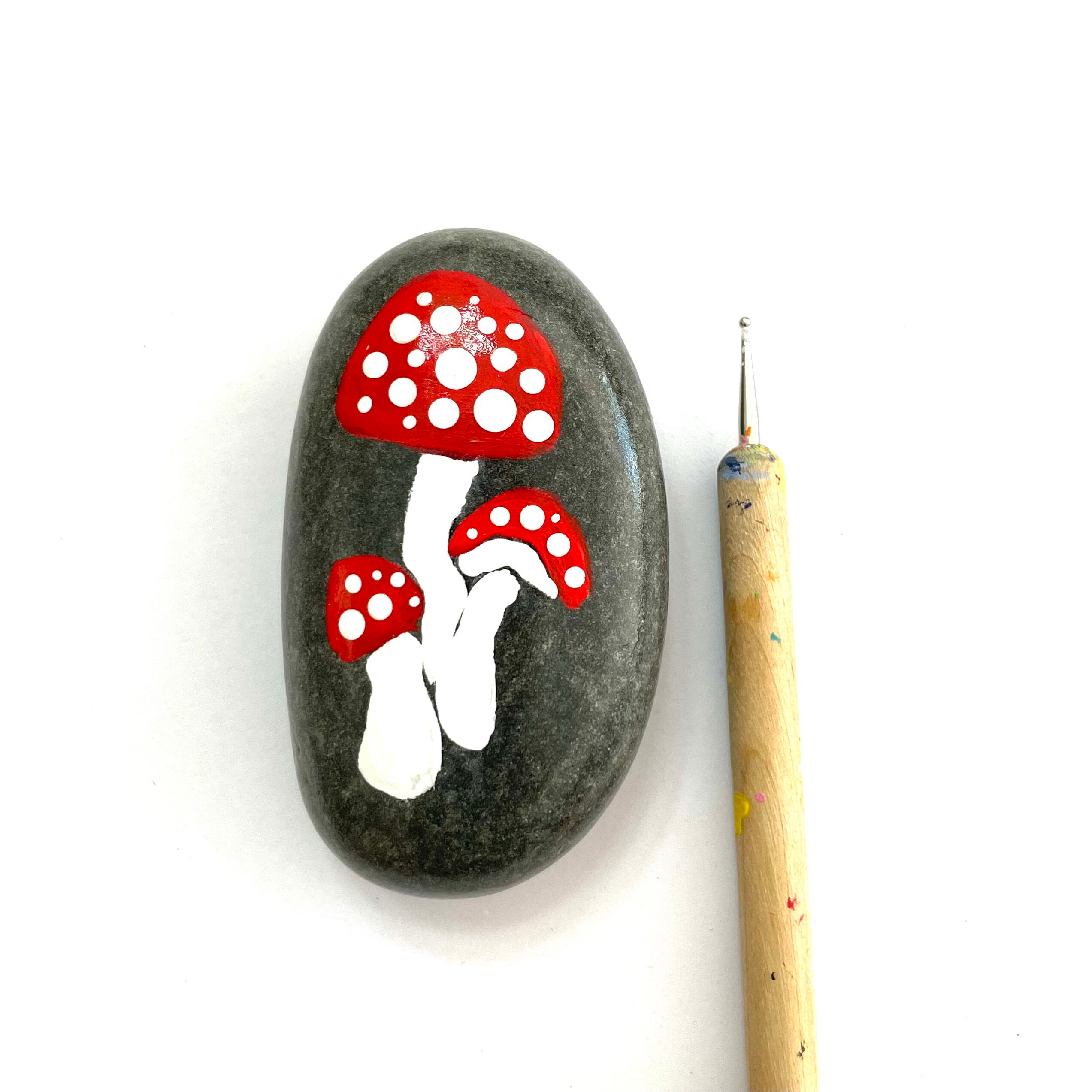 Fun Painted Rocks Mushrooms Hand Painted Rock Art Mushroom Rock Stone ...
