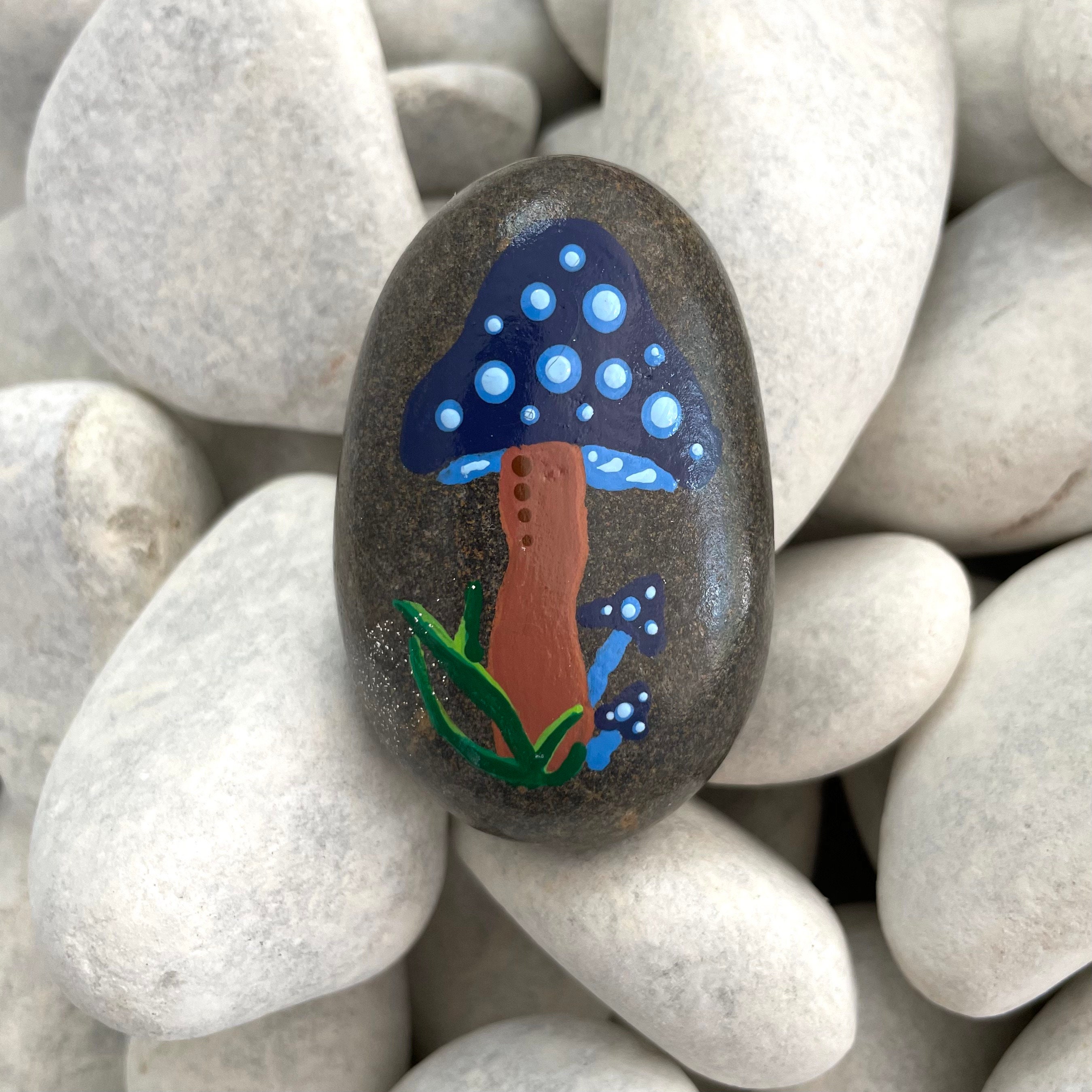 Fun Painted Rocks Mushrooms Hand Painted Rock Art Mushroom Rock Stone ...