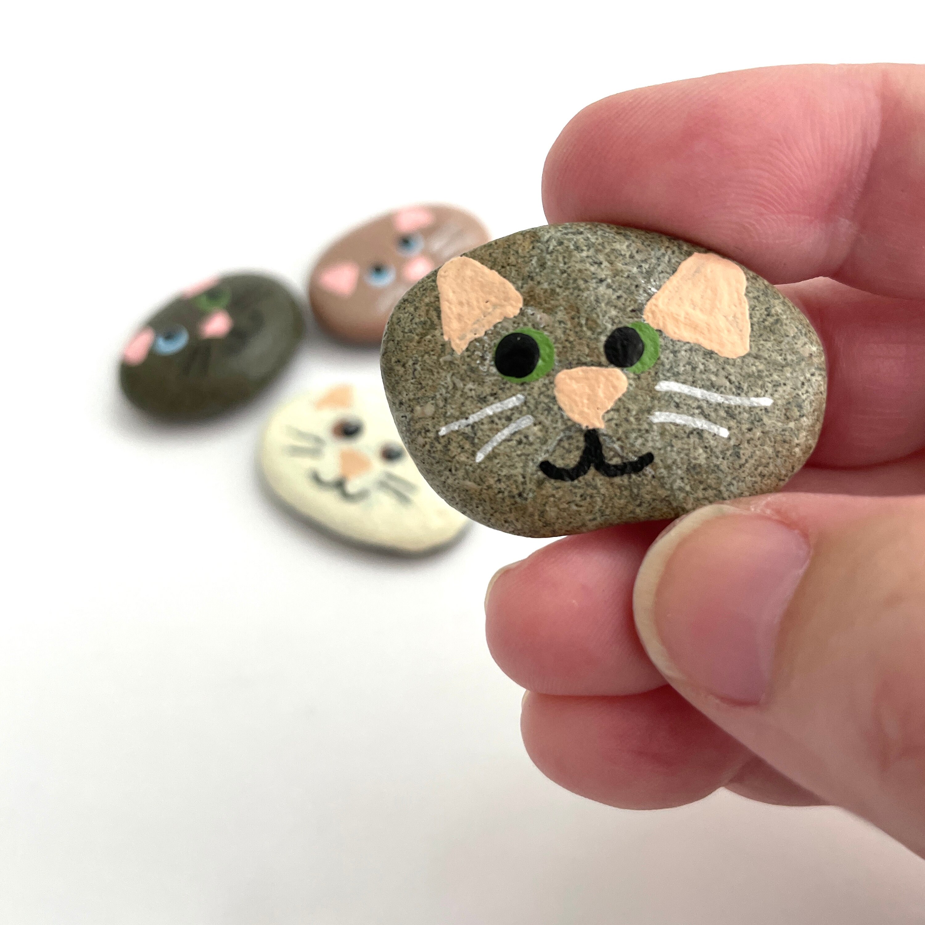 Set of Five Painted Cat Rocks Hand Painted Rocks Cats Fun Painted Rocks ...