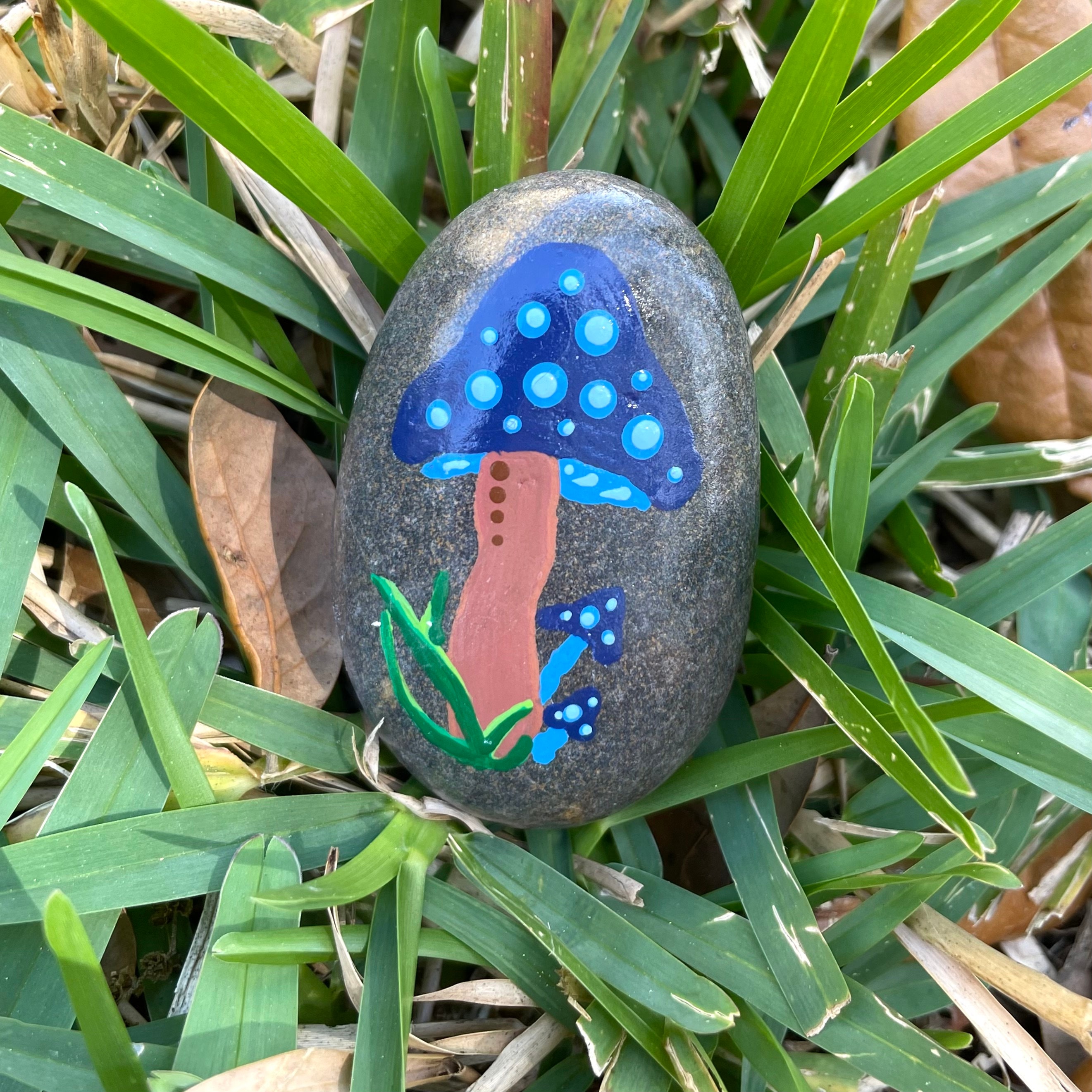 Fun Painted Rocks Mushrooms Hand Painted Rock Art Mushroom Rock Stone ...