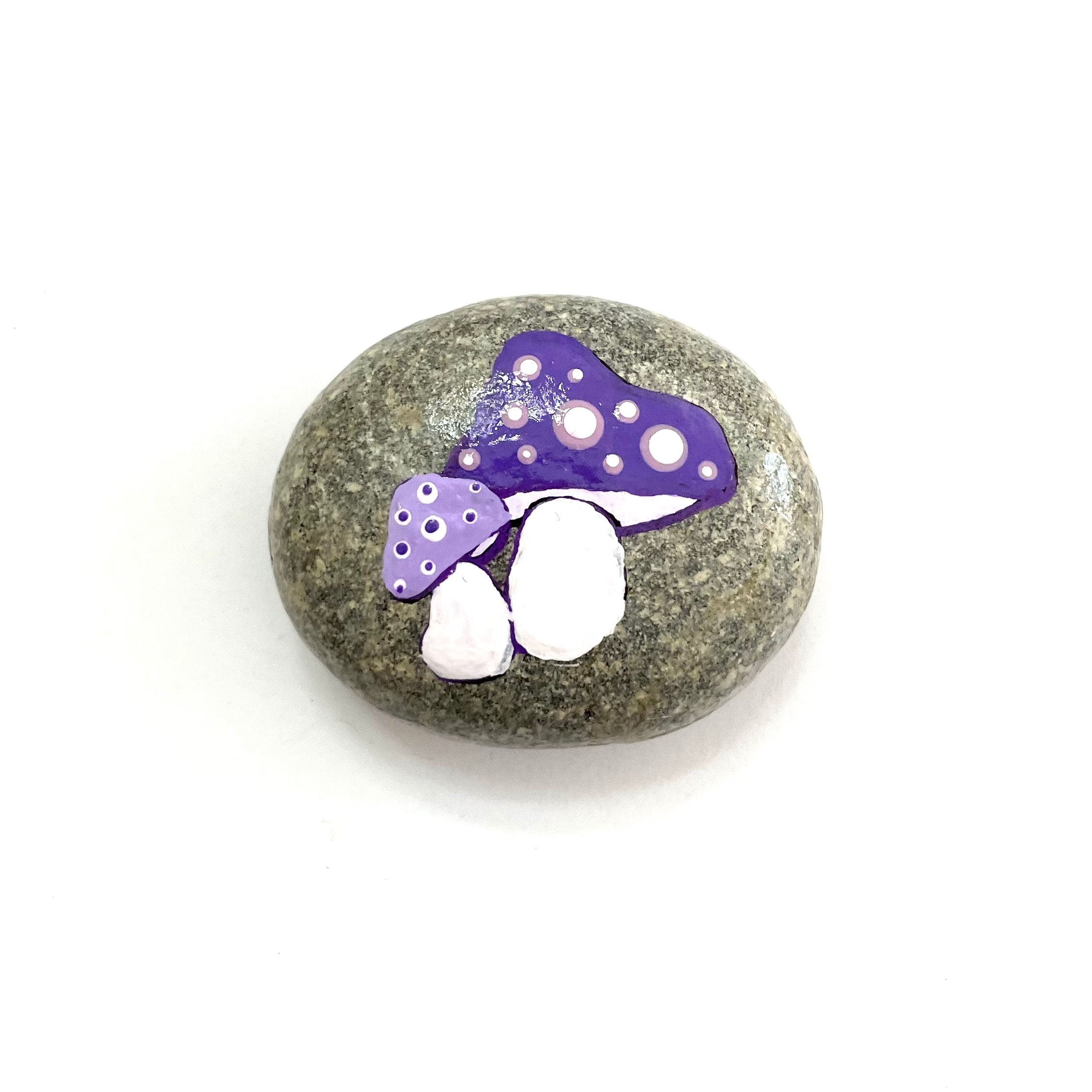 Fun Painted Rocks Mushrooms Hand Painted Rock Art Mushroom Rock Stone ...