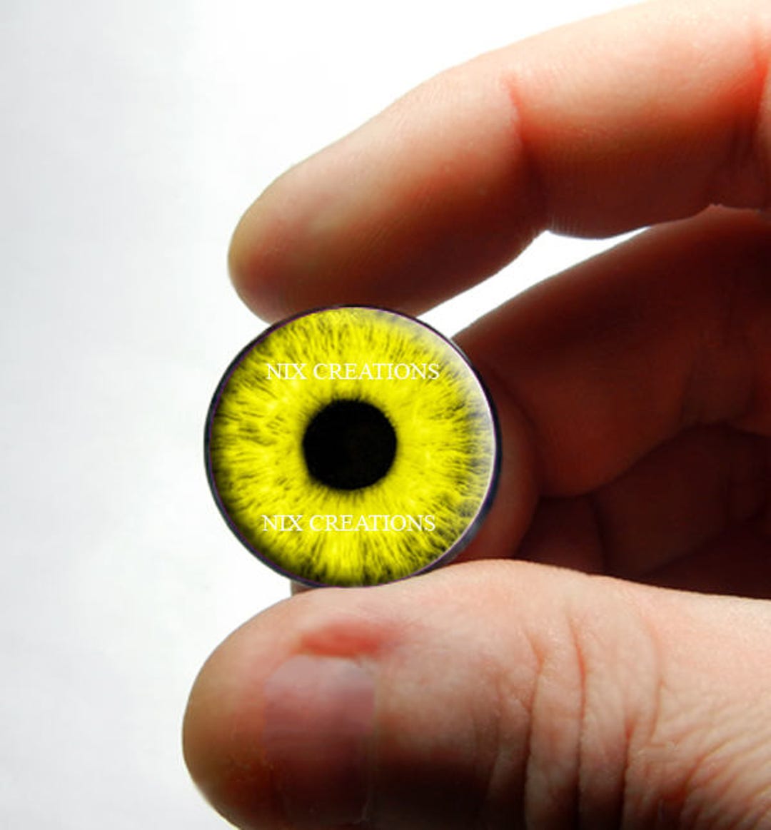 Glass Eyes - Yellow Zombie Glass Eyes Handmade Glass Taxidermy Doll ...