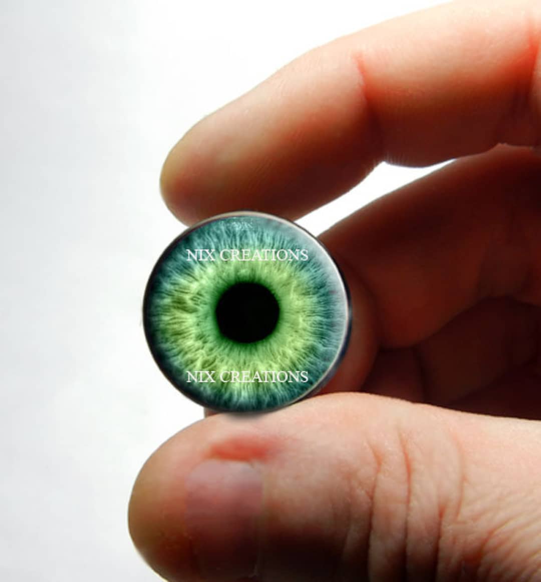Avatar Glass Eyes - Avatar Jake Sully Inspired Sculpture Taxidermy ...