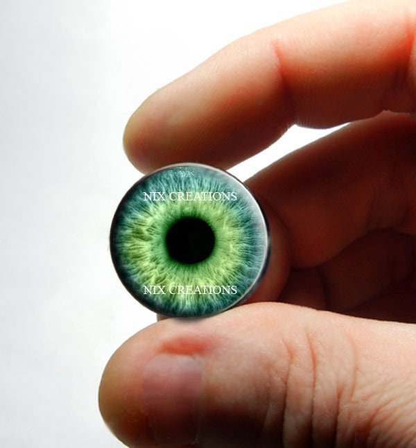 Avatar Glass Eyes - Avatar Jake Sully Inspired Sculpture Taxidermy ...
