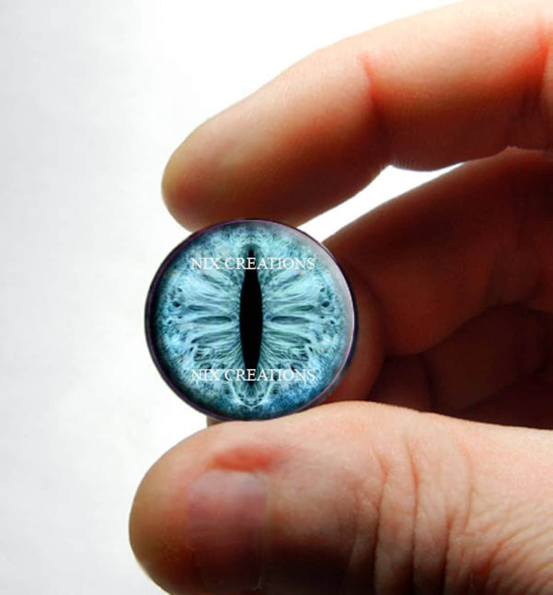 Glass Eyes - Blue Lagoon II Reptile Dragon Taxidermy Eye Cabochons 8mm ...
