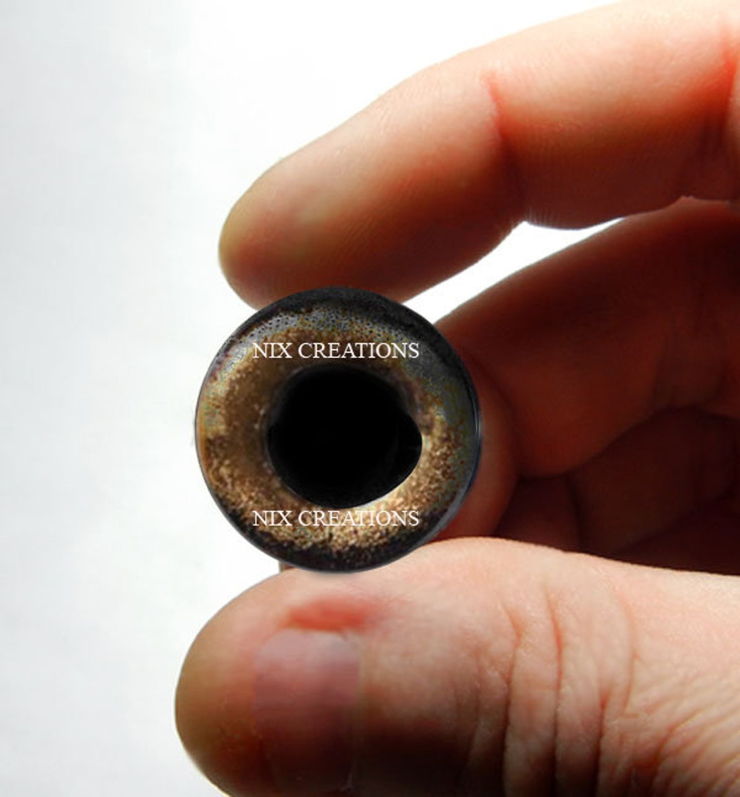 Natural Walleye Fish Glass Eyes Eyeball Cabochon for Pendant Earring ...