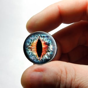 Glass Eyes - Lizard Reptile Dragon Taxidermy Eye Cabochons 8mm 10mm ...