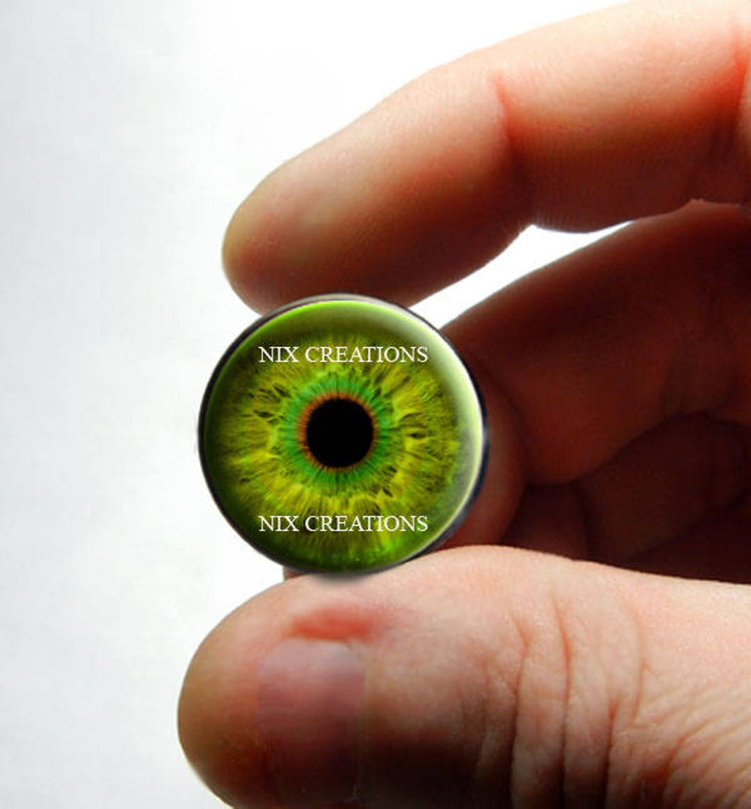 Glass Eyes - Zombie Green Yellow Glass Eyes Glass Taxidermy Doll Eyes ...
