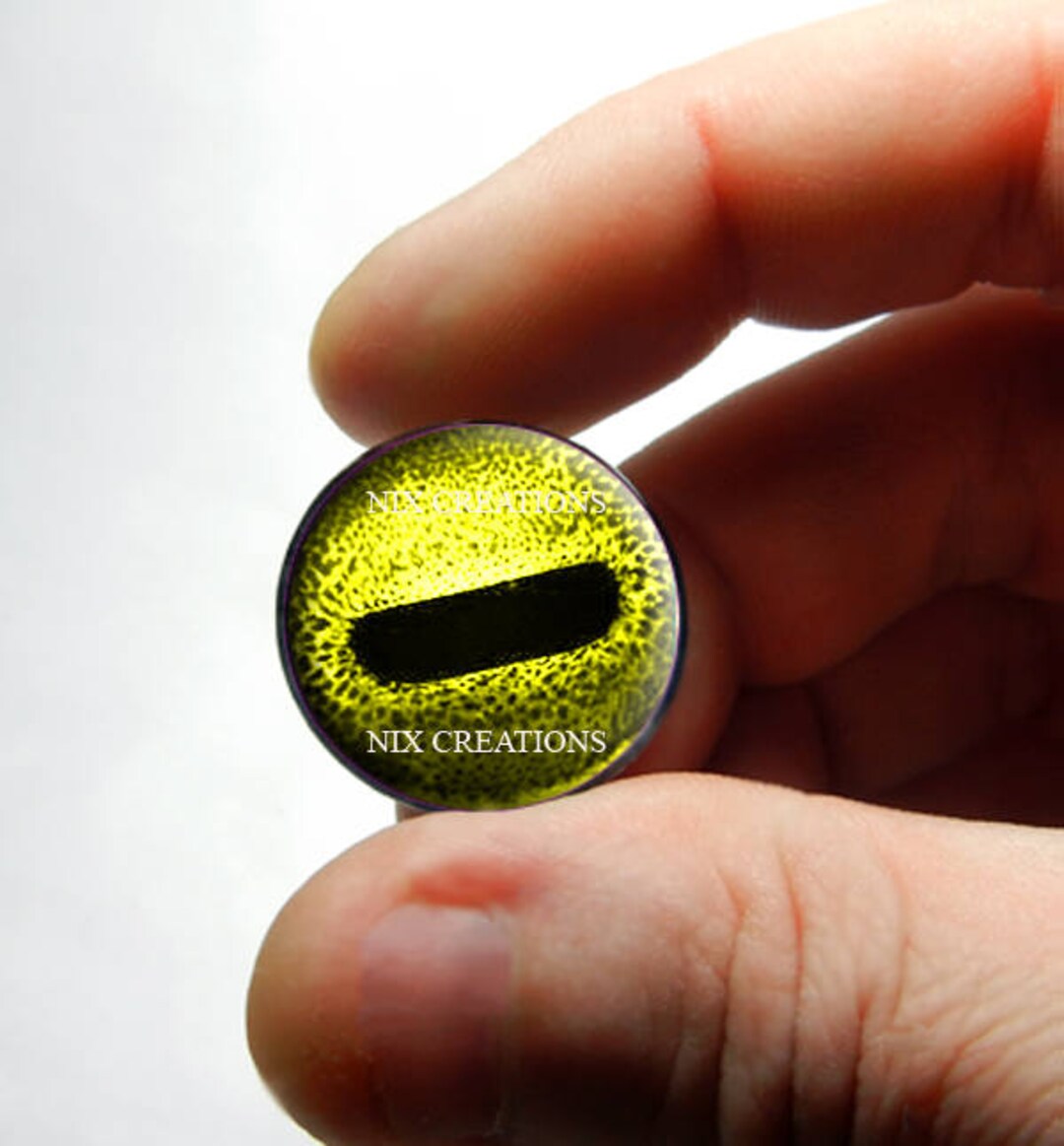 Octopus Glass Eyes - Yellow Octopus Glass Taxidermy Doll Eyes Cabochons ...