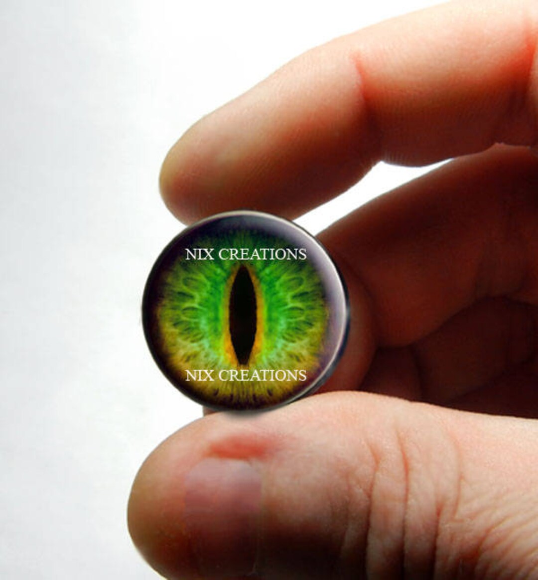 Glass Eyes - Green Yellow Glass Eyes Eye Glass Taxidermy Doll Eyes ...