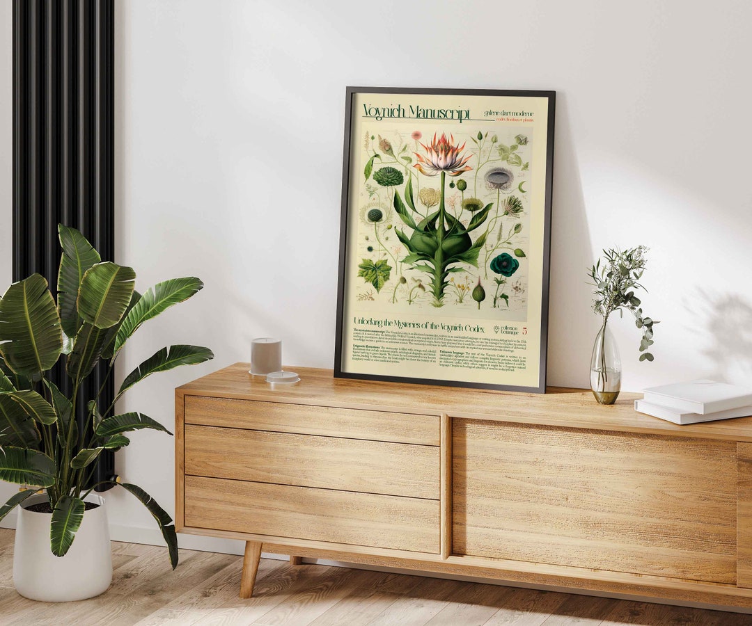 The Voynich Manuscript Plants 5 - Etsy