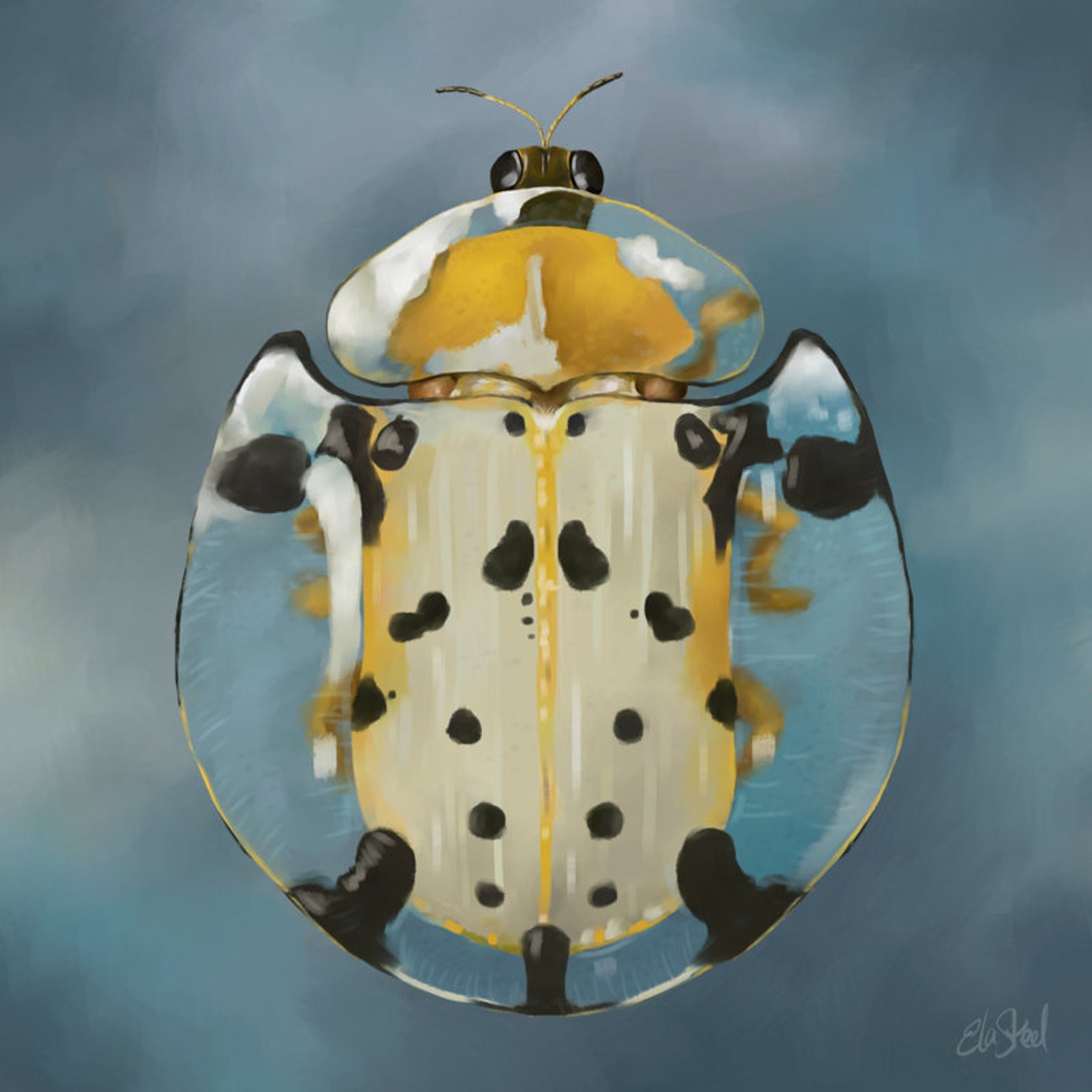 PRINT Bundle 4 Beetle Bug Art 8x8 Inch Fine Art by Ela Steel ...