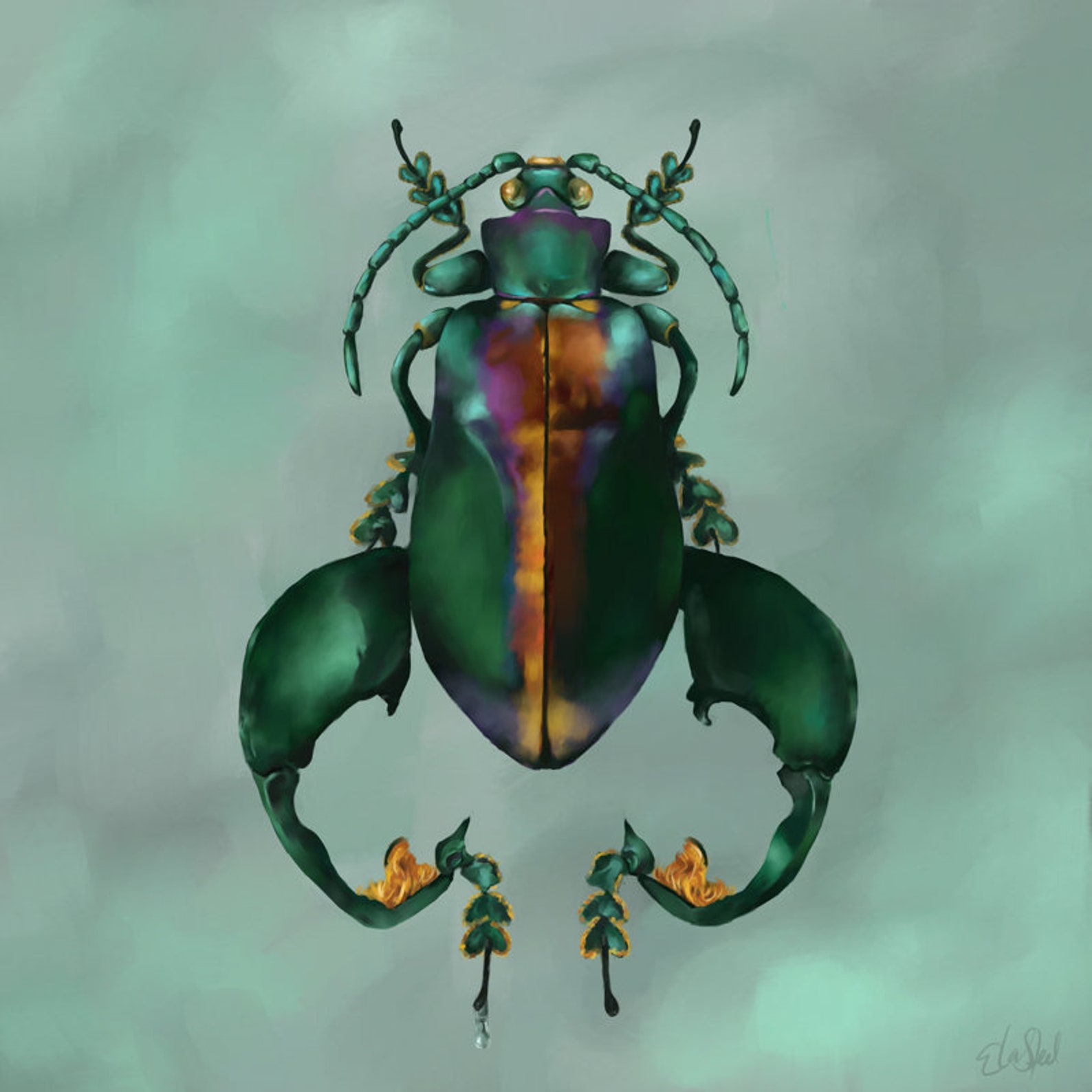PRINT Bundle 4 Beetle Bug Art 8x8 Inch Fine Art by Ela Steel ...