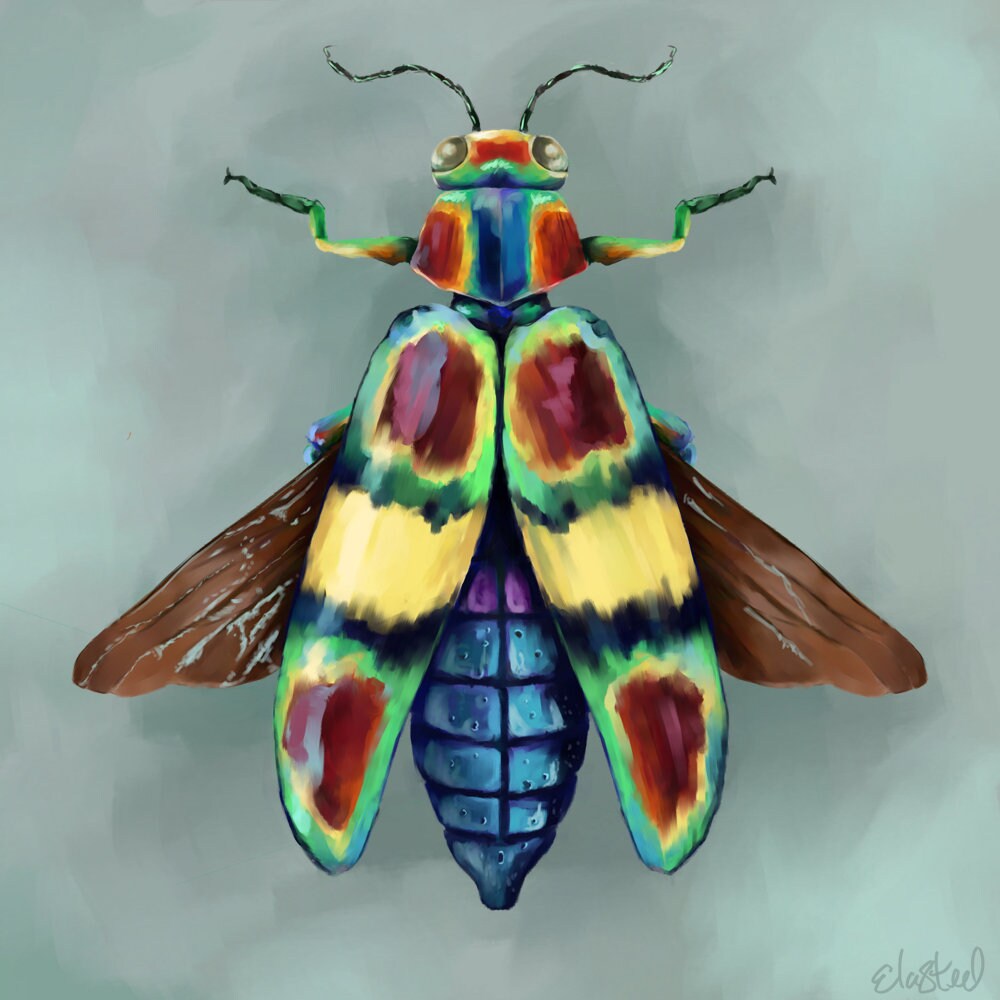 PRINT Bundle 4 Beetle Bug Art 8x8 Inch Fine Art by Ela - Etsy