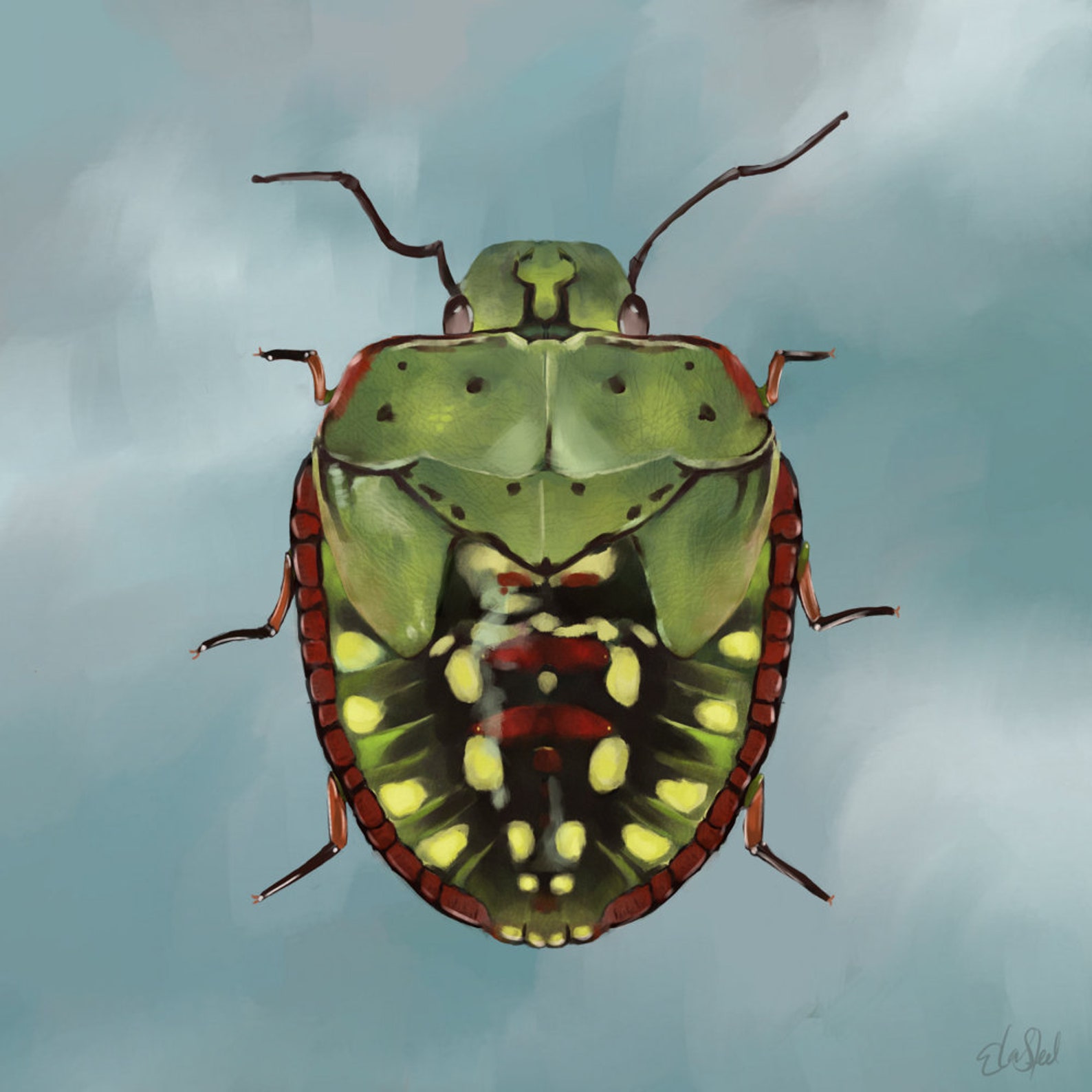 PRINT Bundle 4 Beetle Bug Art 8x8 Inch Fine Art by Ela Steel ...