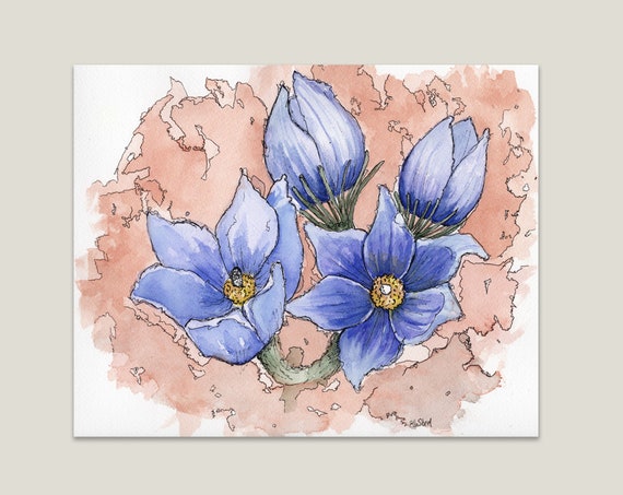 Prairie Crocus
