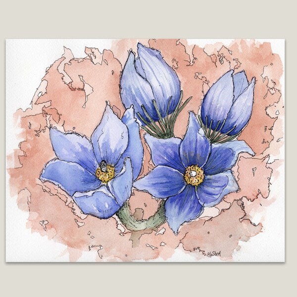 Prairie Crocus - Etsy