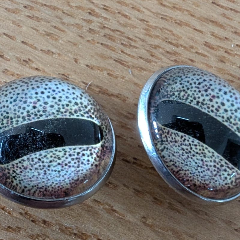 Button Eyes - Etsy