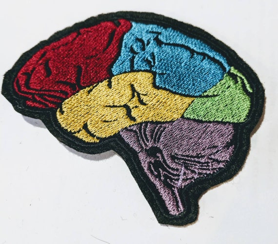 Brain anatomical embroidered patch | Etsy