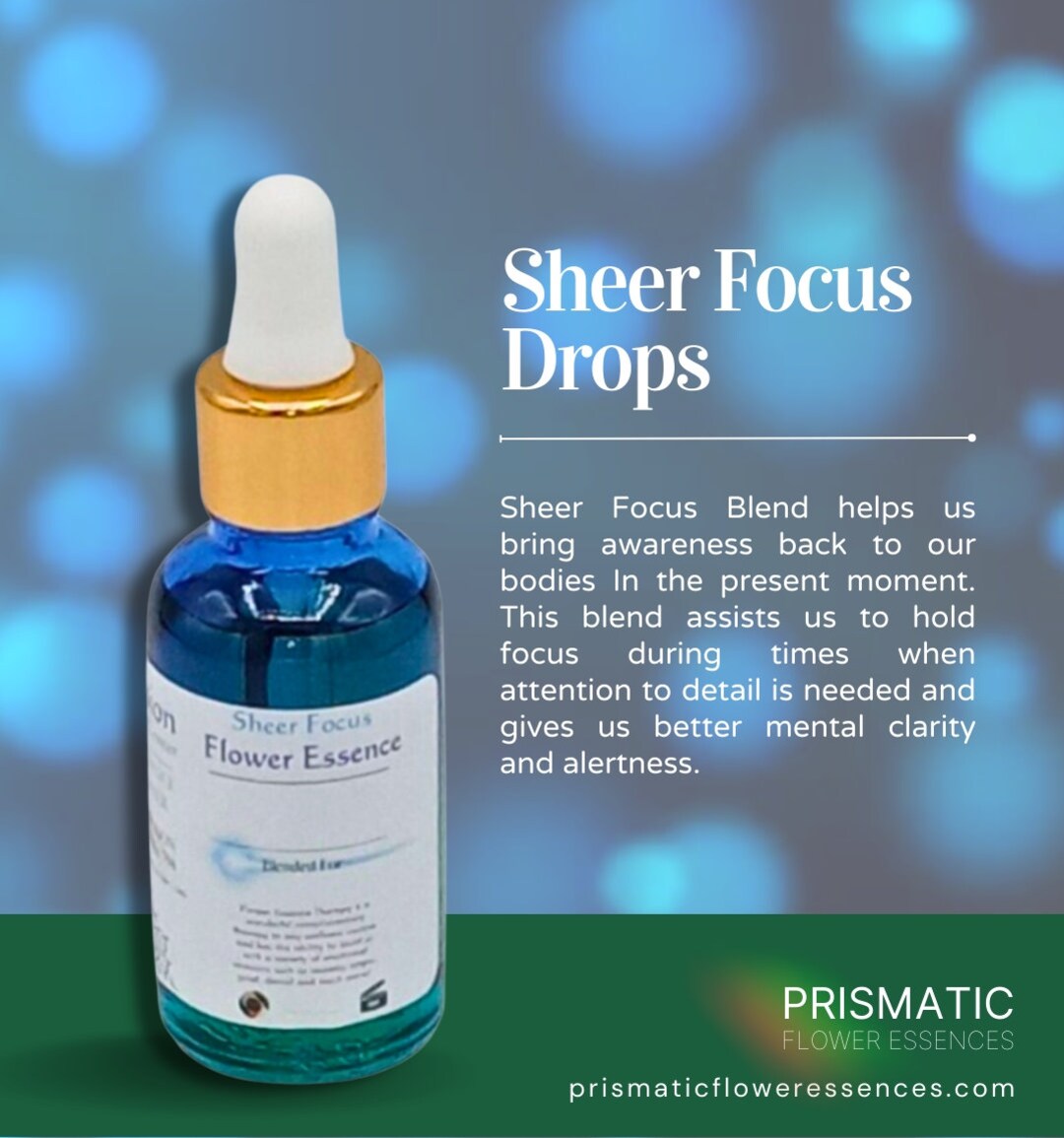 Sheer Focus Flower Essence Drops | Mental Clarity and Concentration ...