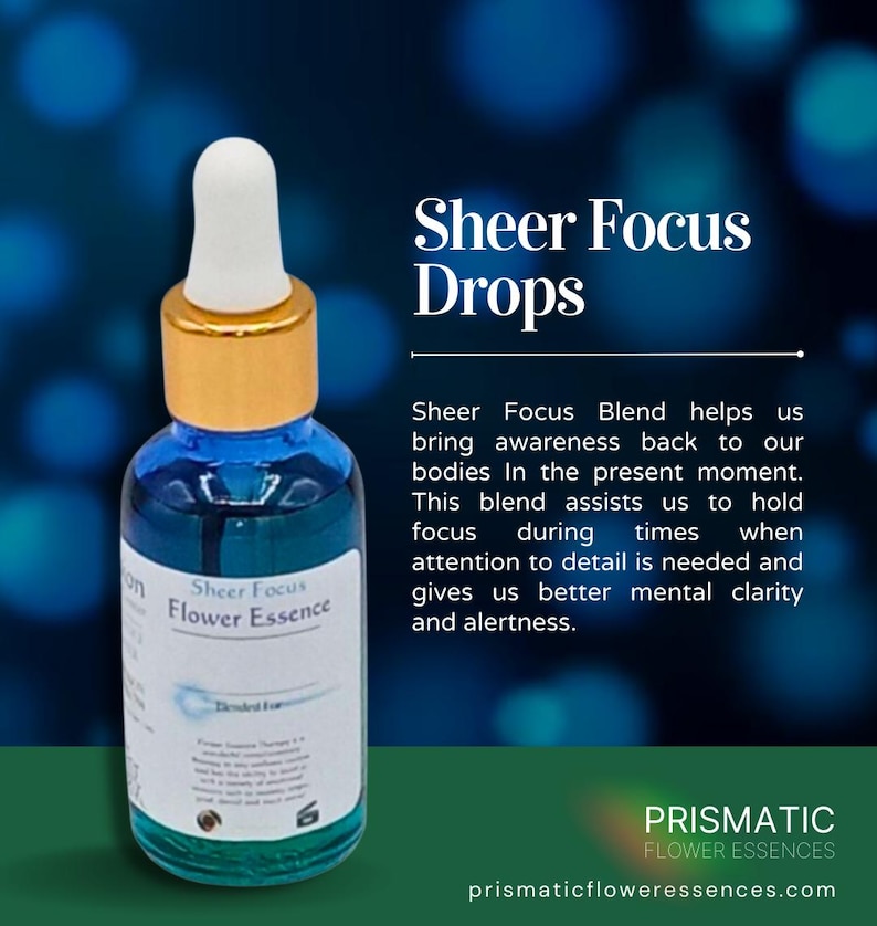 Sheer Focus Flower Essence Drops | Mental Clarity and Concentration ...